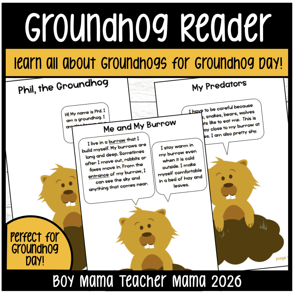 Groundhog Day Fun and Easy Activities to Make Groundhog Day the Best of ...